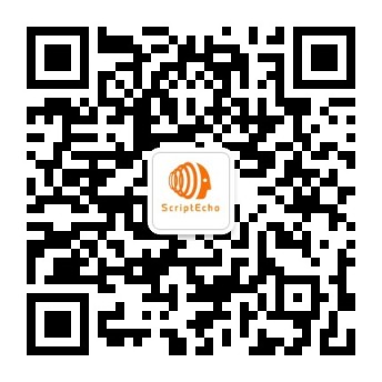 ScriptEcho | AI生成生产级代码